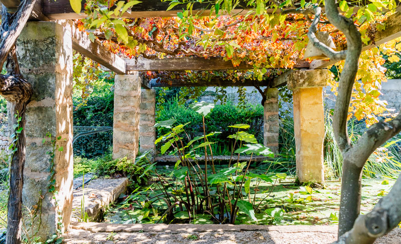 Discovering the Mediterranean flora | TraveltoZero