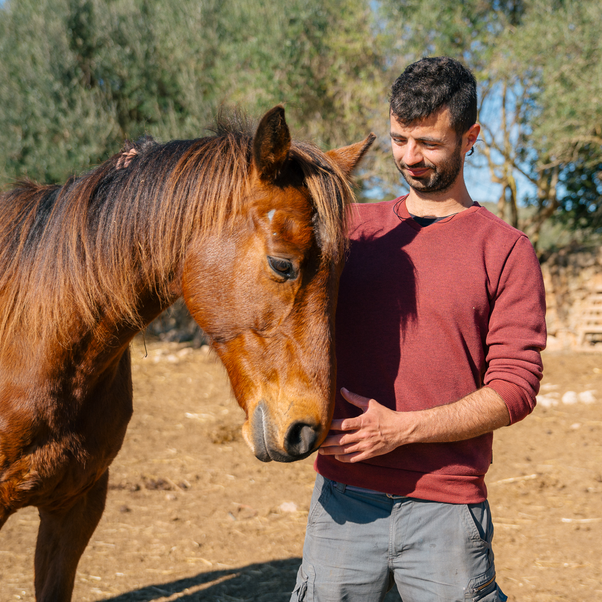Mallorca a los lomos de un caballo | TraveltoZero