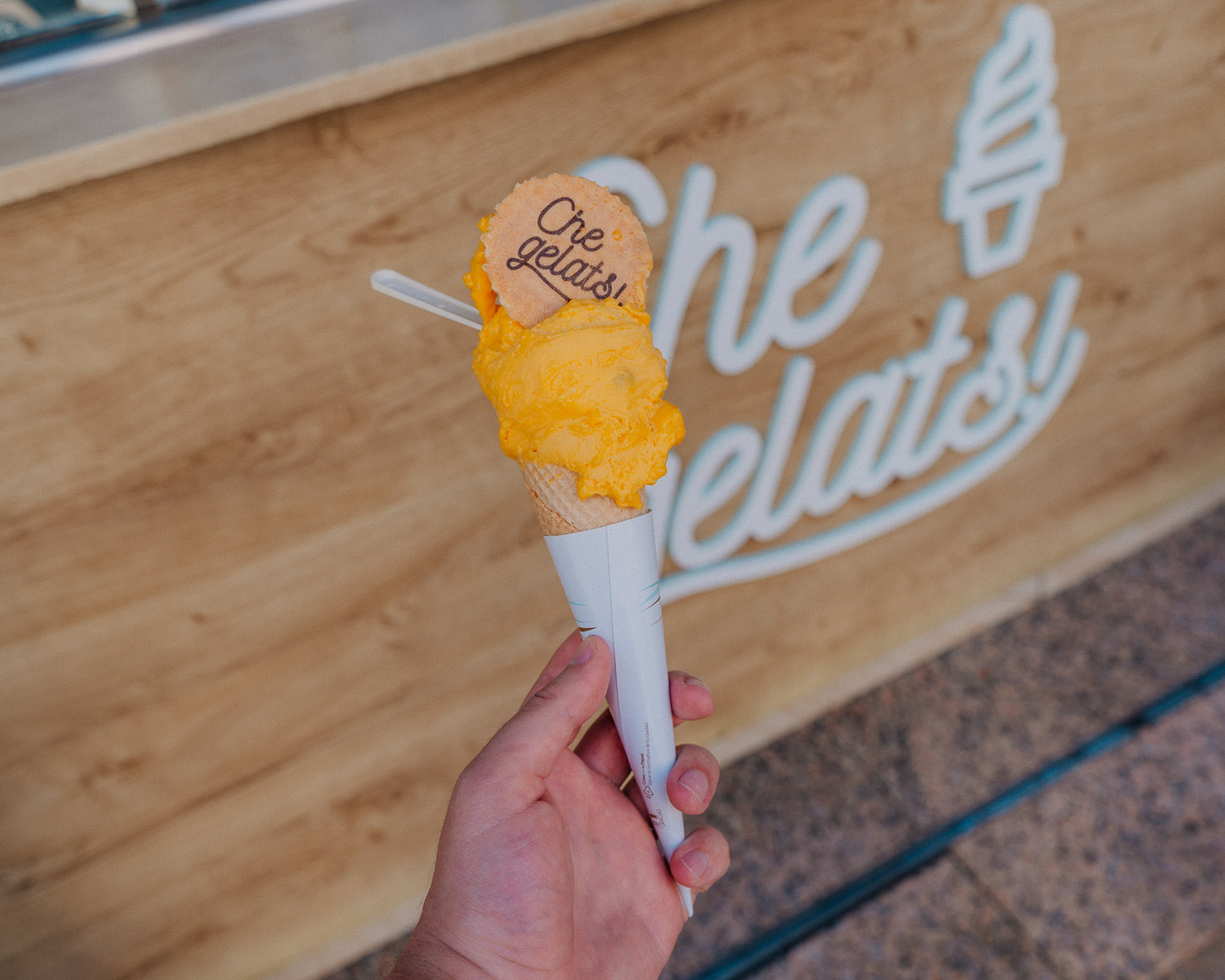 It's great that you came | TraveltoZero