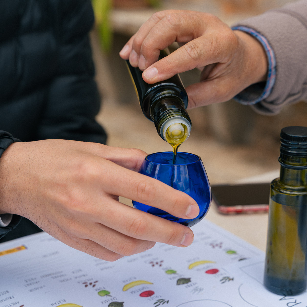 Historia y cata del oro líquido en Oli Verderol | TraveltoZero