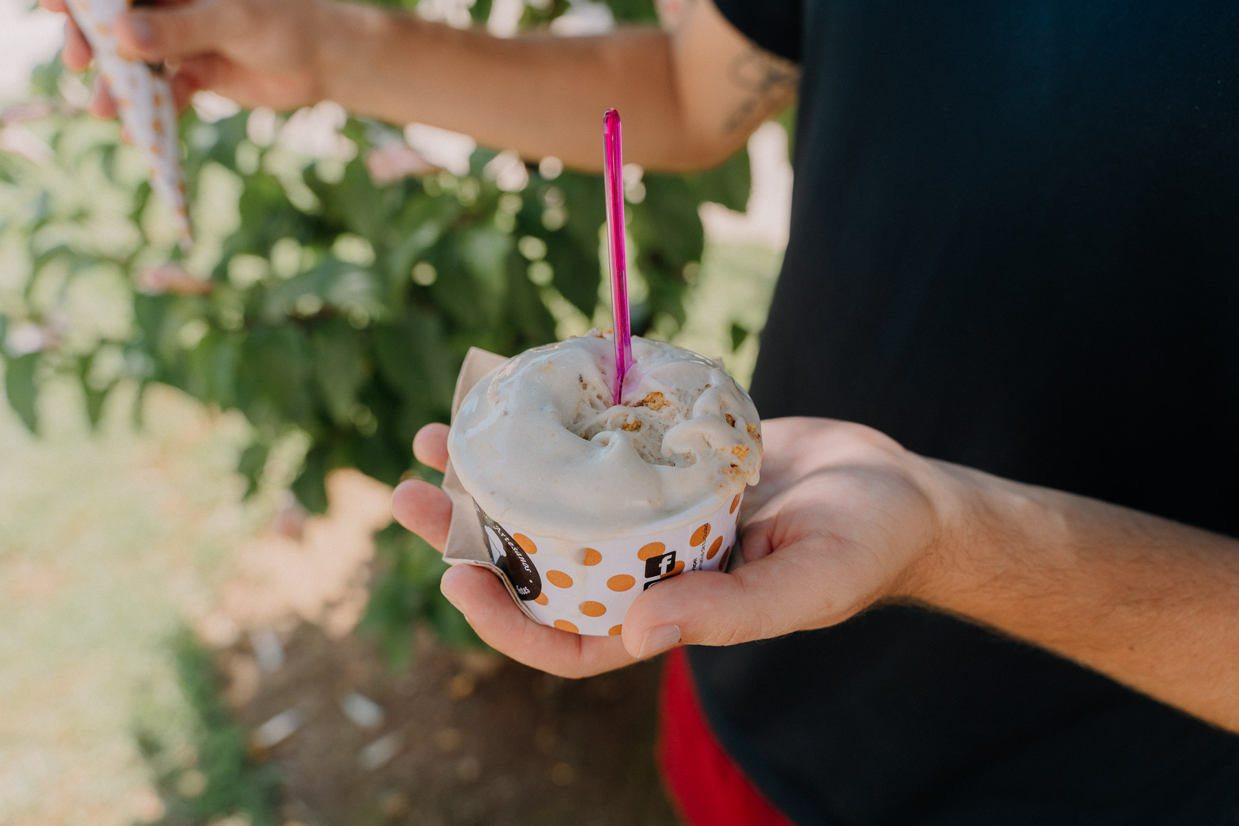 Gelats Capritxo | TraveltoZero