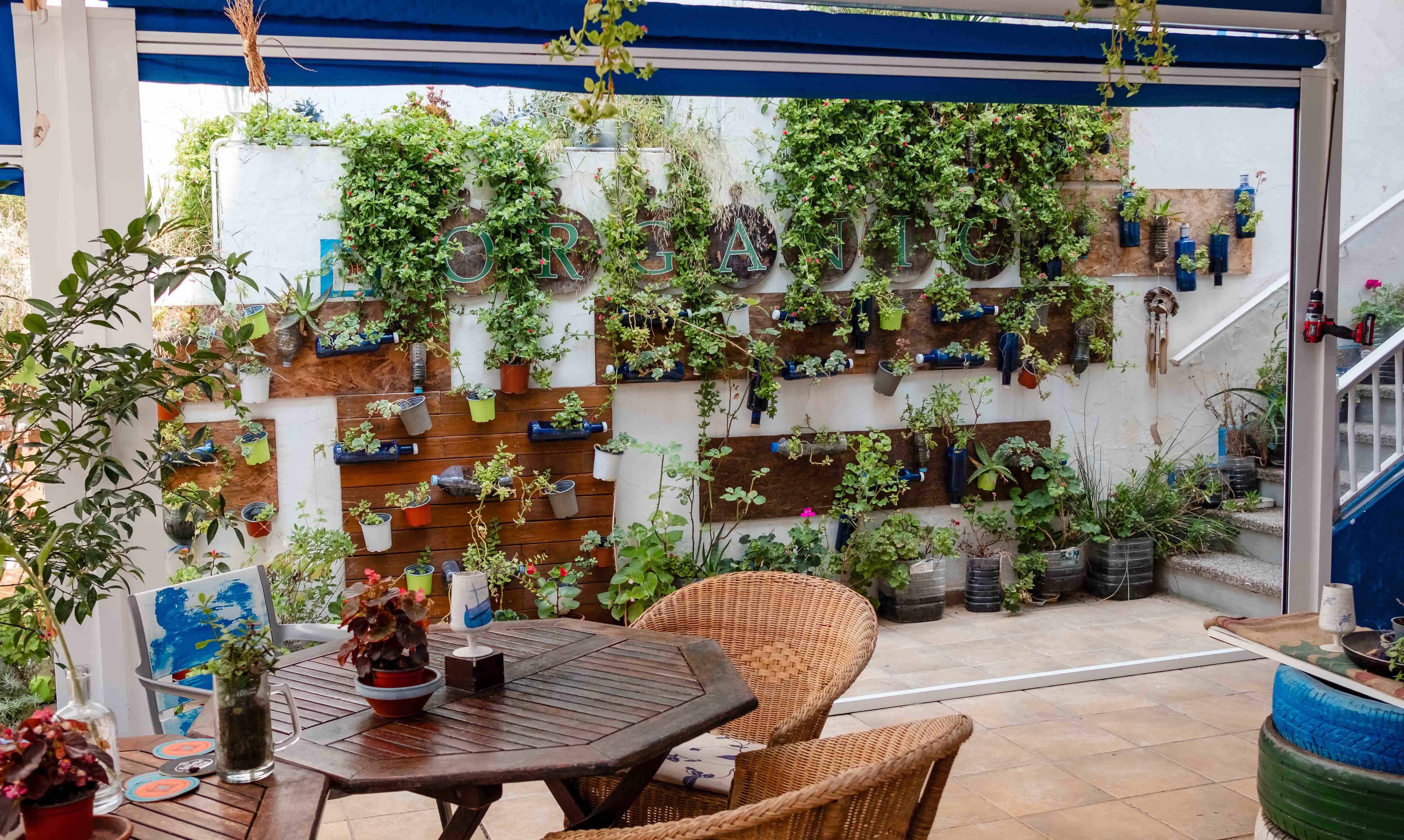 Organic Mallorca | TraveltoZero