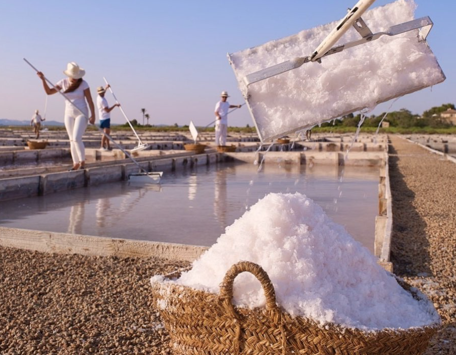Flor de Sal d’Es Trenc | TraveltoZero