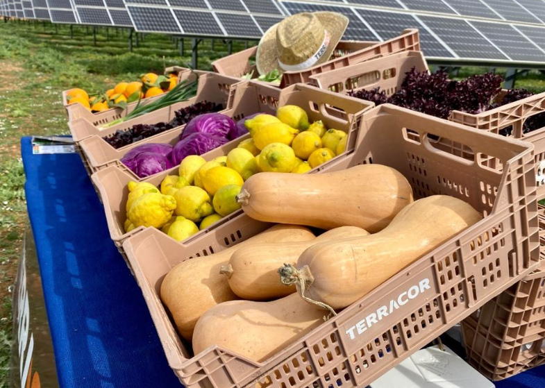 Terracor | TraveltoZero