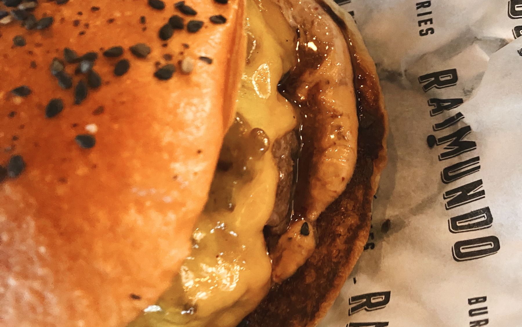 Raimundo Burger Blanquerna | TraveltoZero
