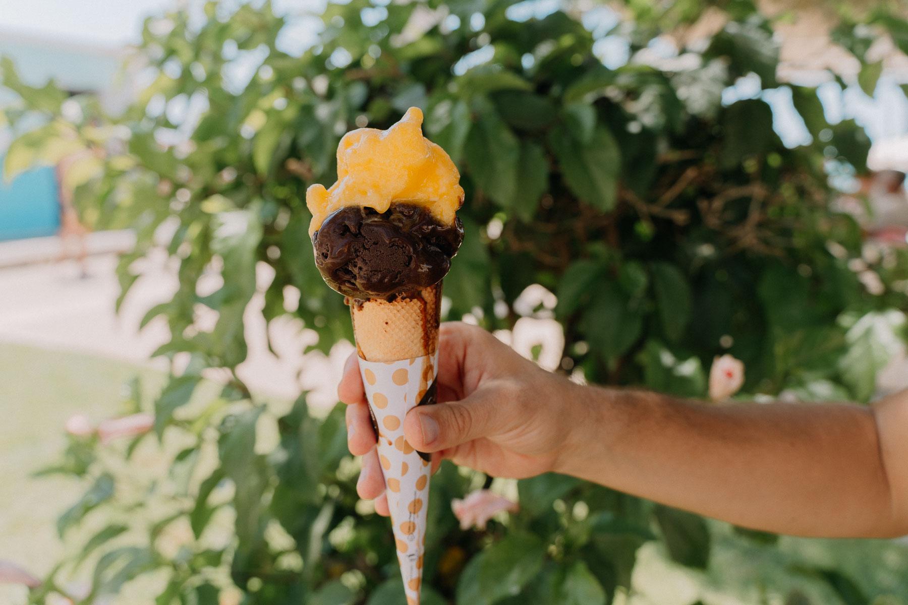 Gelats Capritxo | TraveltoZero