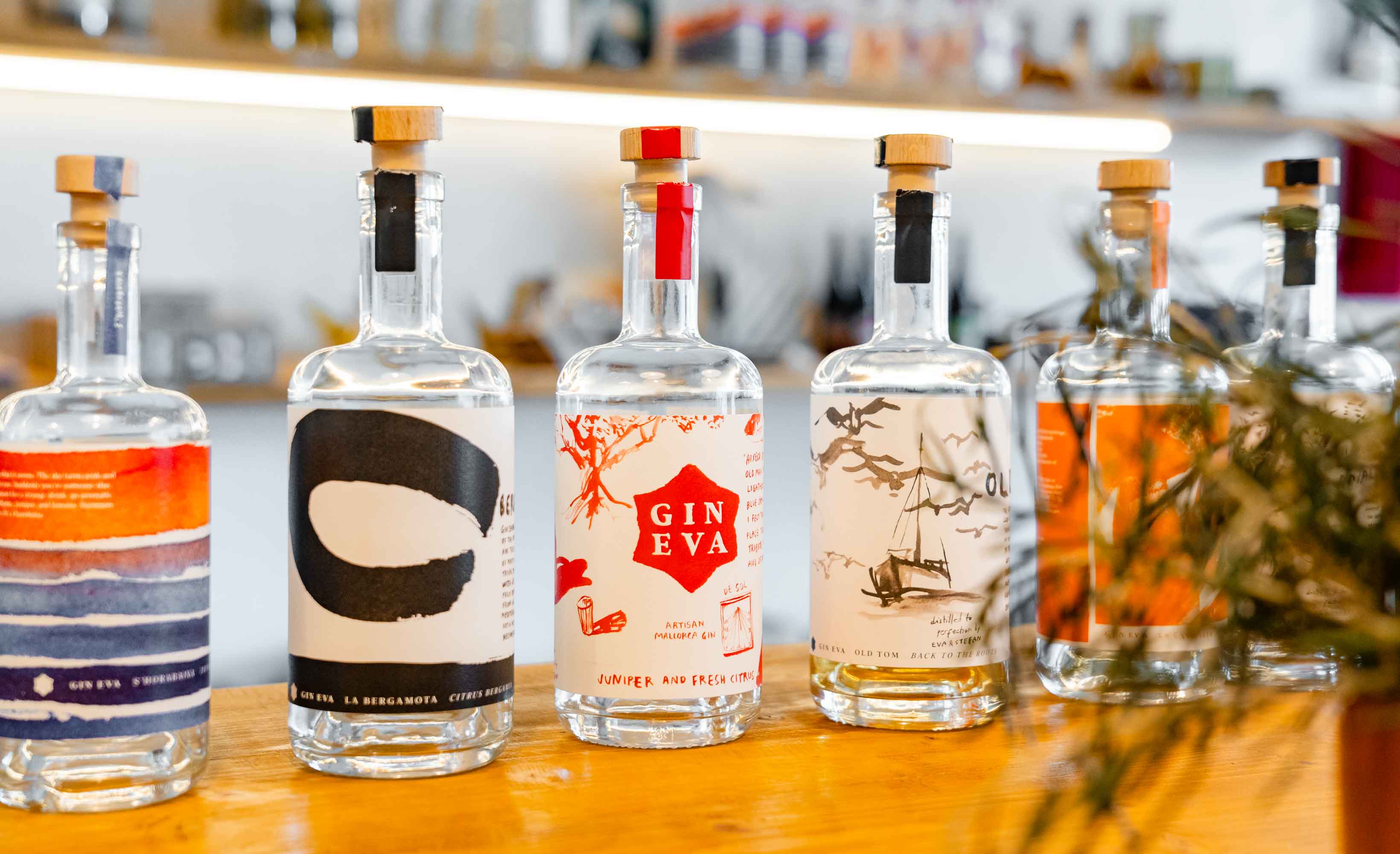 Gin Eva | TraveltoZero