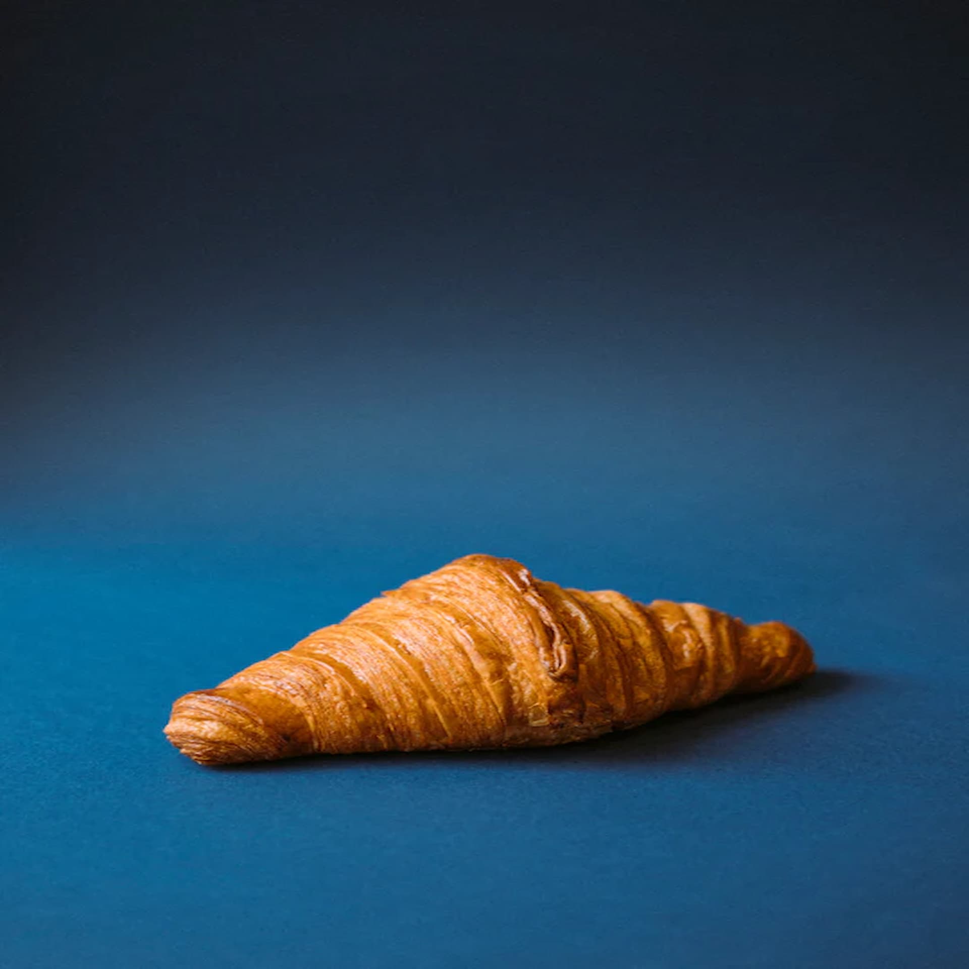 Lluís Pérez | TraveltoZero